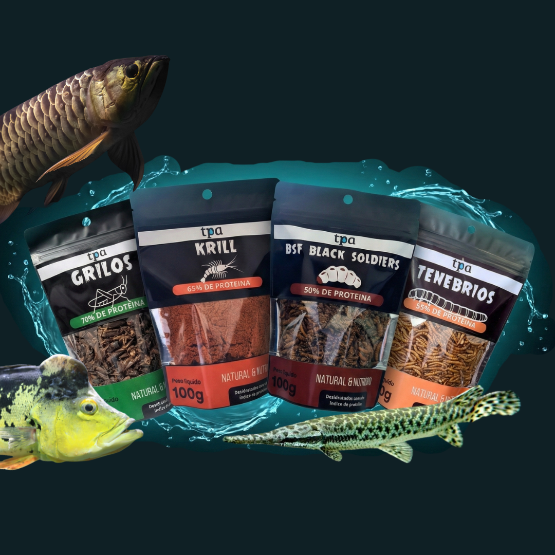 KIT Jumbão PROTEIN LINE🔥